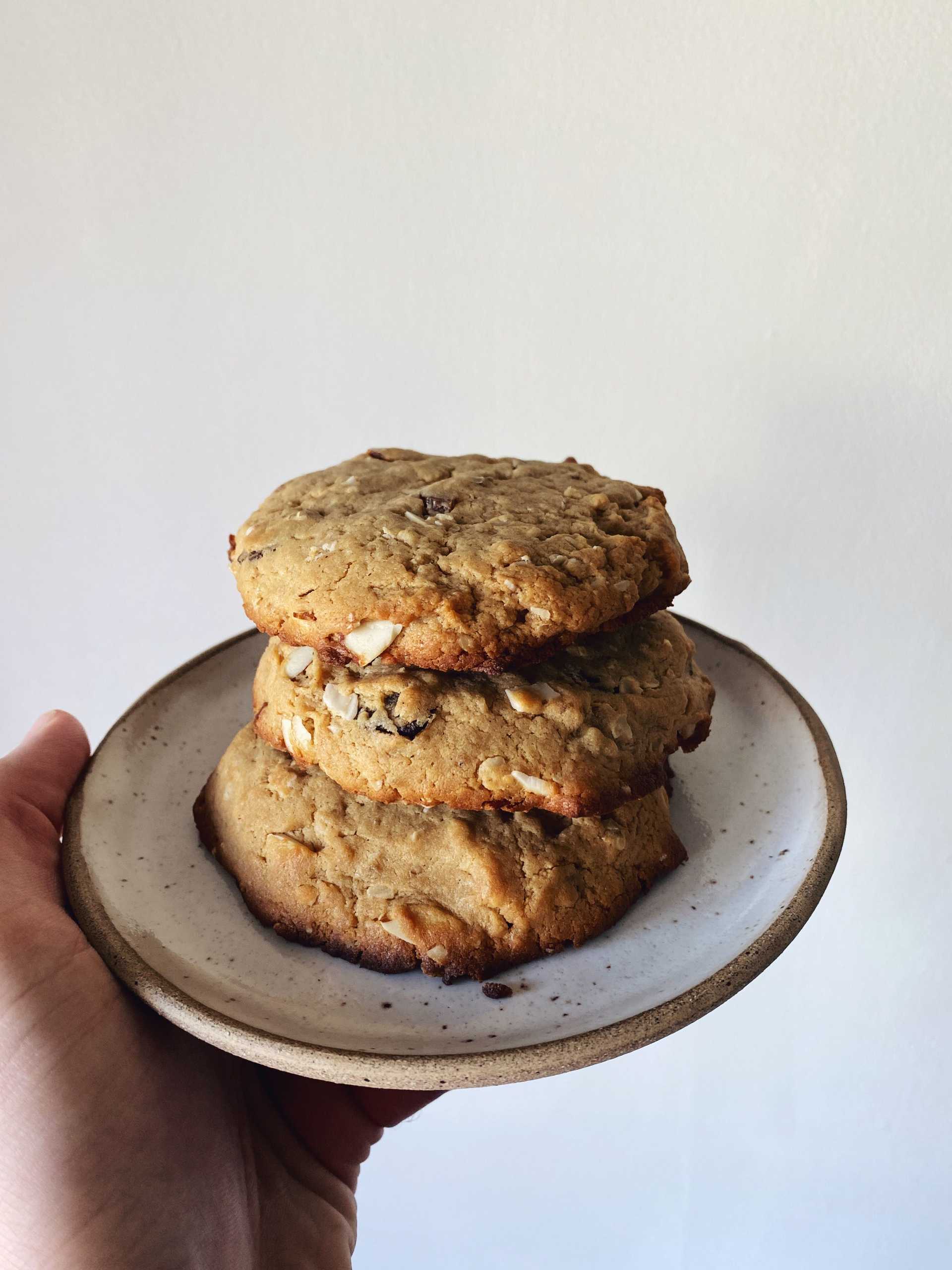Breakfast Cookie